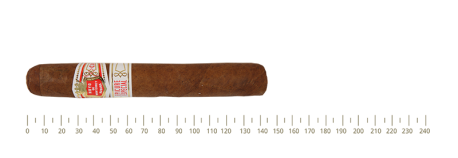 HDM Epicure Especial 10 Cigars - La Casa Del Habano @ Beirut Duty Free