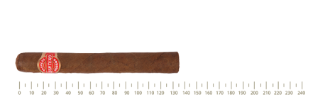 Quintero Tubulares At 3 Cigars - La Casa Del Habano @ Beirut Duty Free